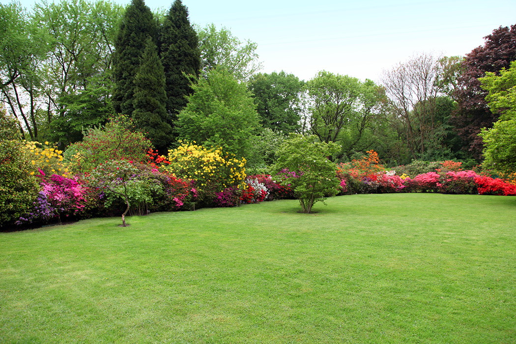 Make Your Lawn Shine This August With GLS’s Expert Landscaping ...