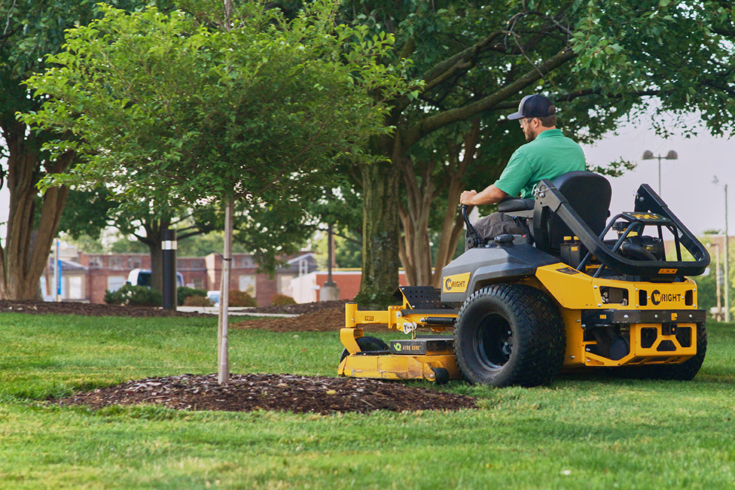 Simple Lawn Care Tips for a Beautiful Greensboro Yard All Year Long ...