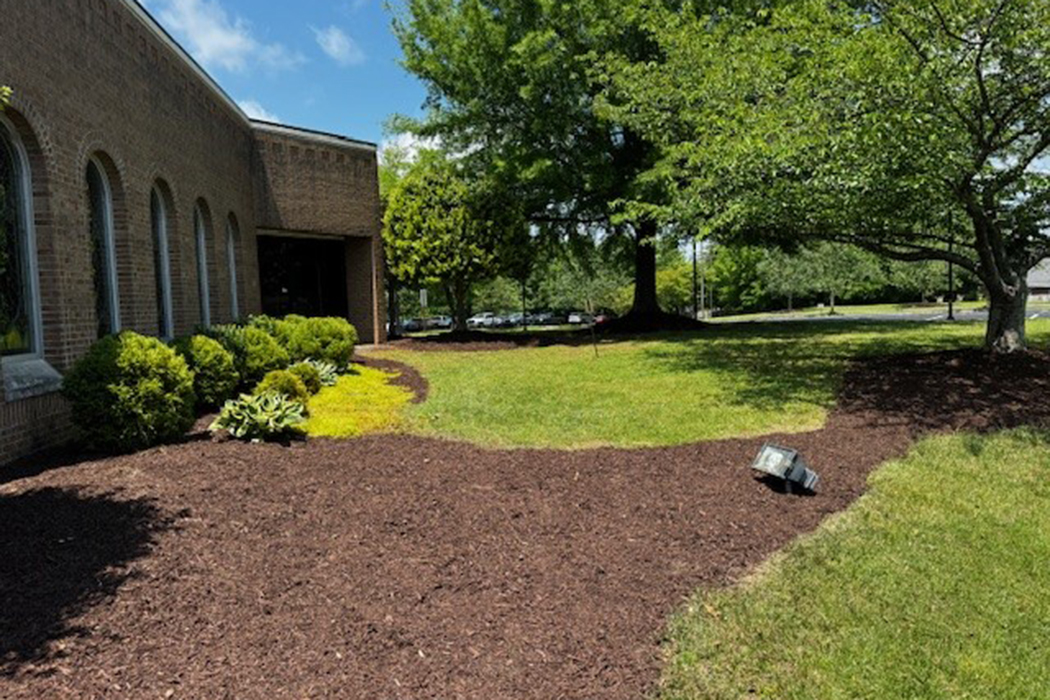 The Secret Weapon for a Lush Landscape: 10 Benefits of Mulching