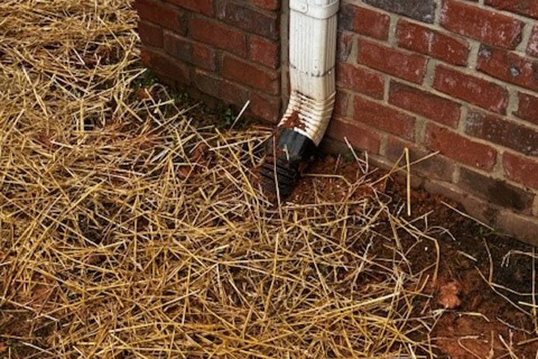 Proper Drainage Installation: The Key to a Healthy and Beautiful ...